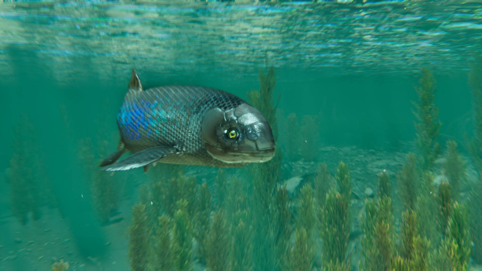 Additional Creatures: Aquaria - Gallery - Ark Survival Ascended Mods ...