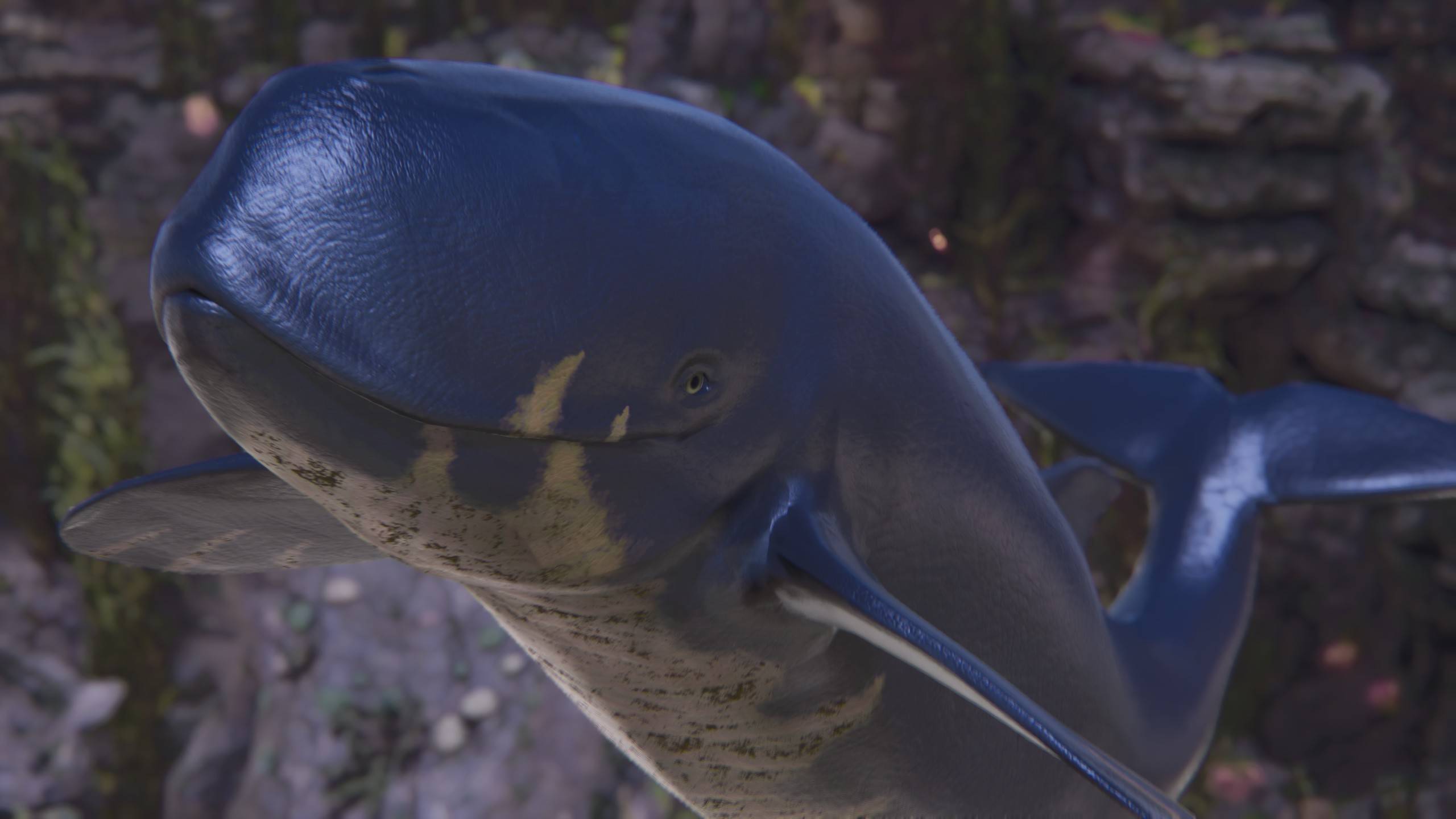 Polypeiron Fauna - First Creature Orycterocetus Released - Gallery ...