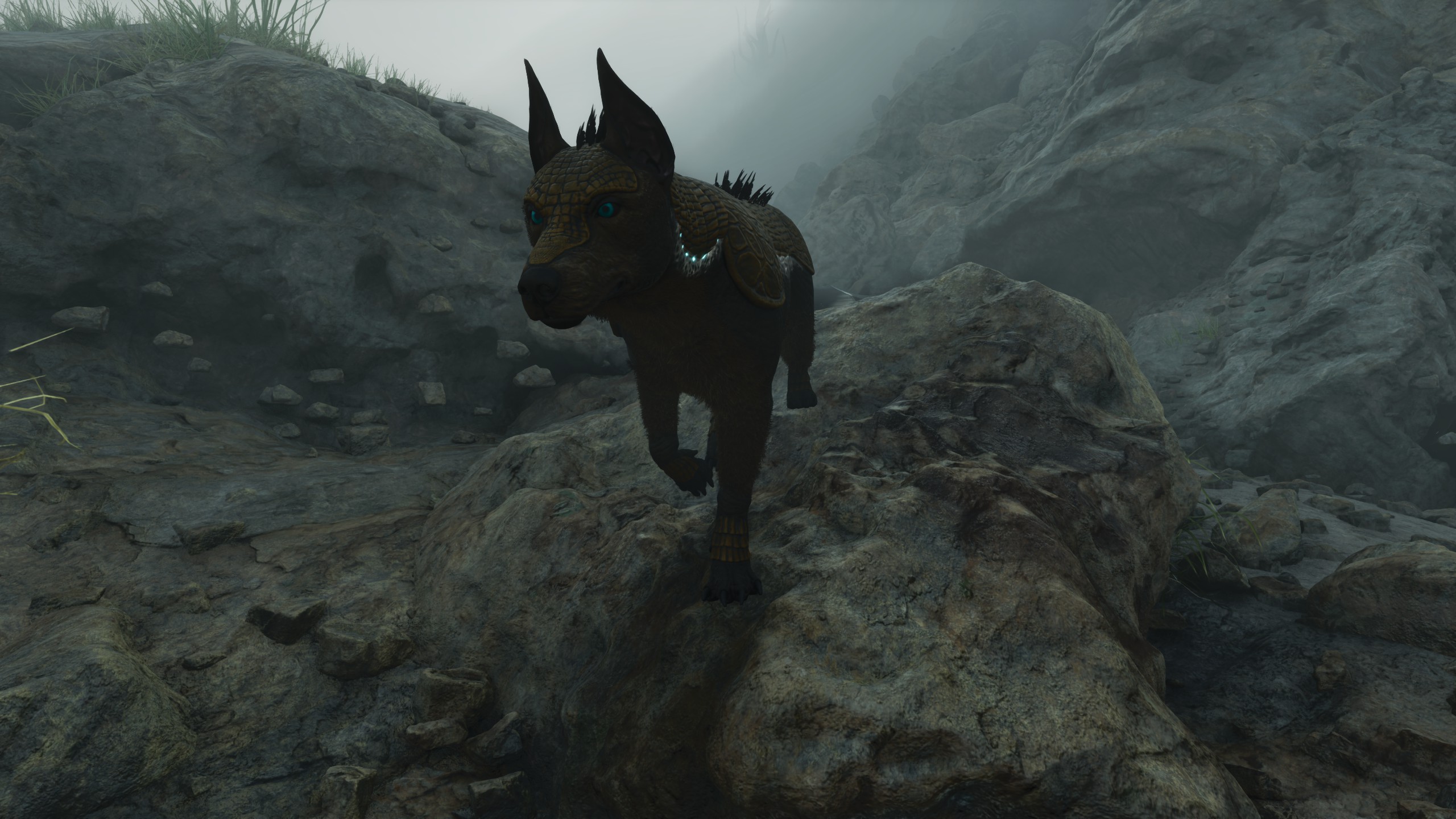 Creature Spawns (Armadoggo) - Gallery - Ark Survival Ascended Mods ...