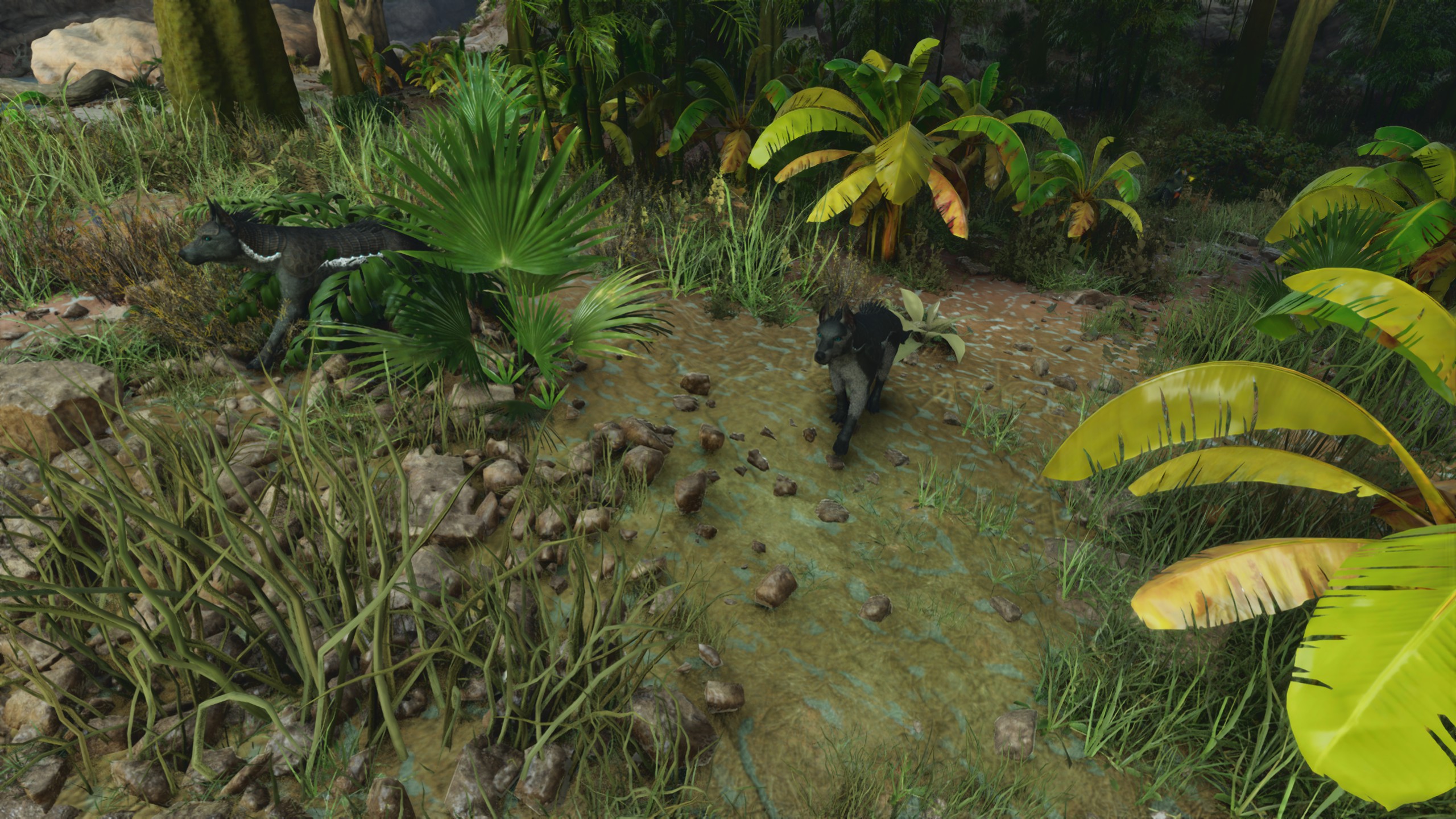 Creature Spawns (Armadoggo) - Gallery - Ark Survival Ascended Mods ...