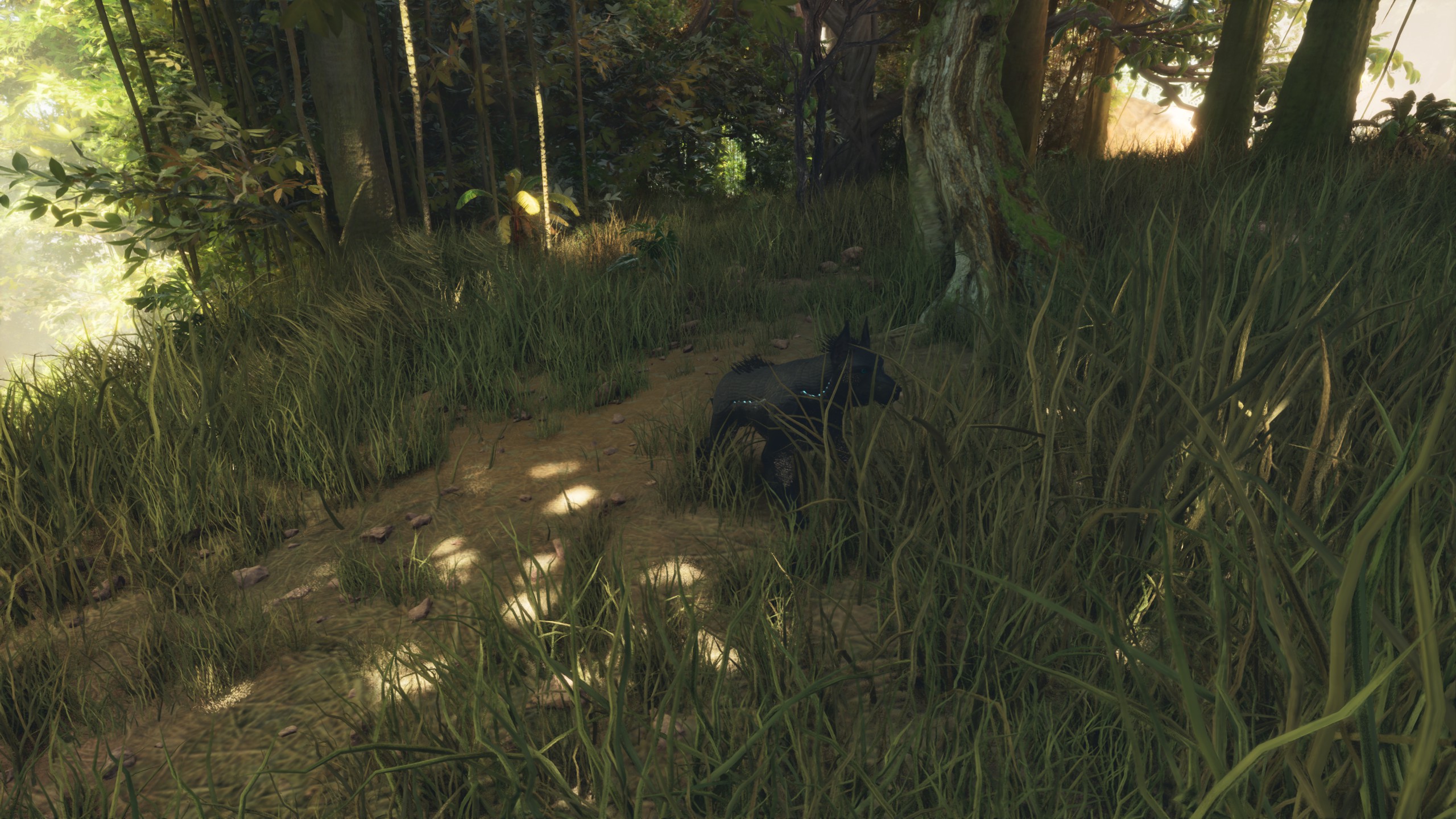 Creature Spawns (Armadoggo) - Gallery - Ark Survival Ascended Mods ...