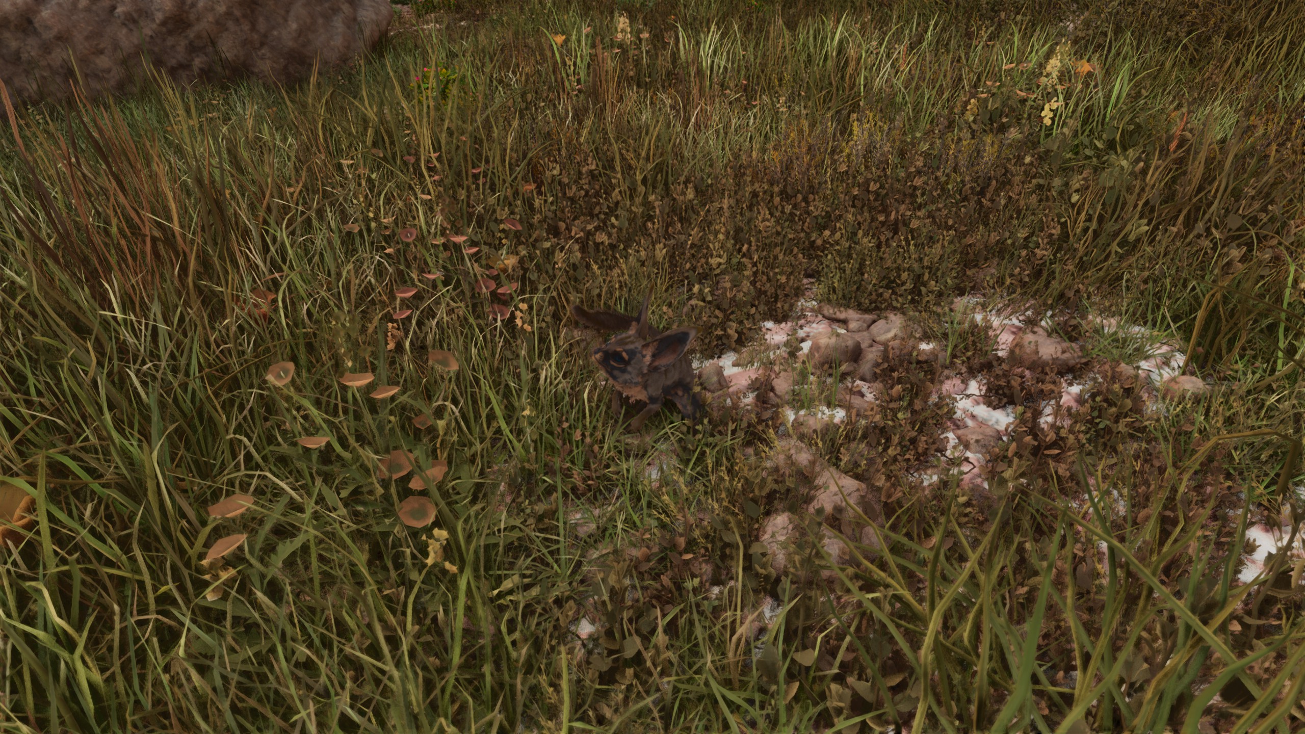 Creature Spawns (Jerboa) - Gallery - Ark Survival Ascended Mods ...