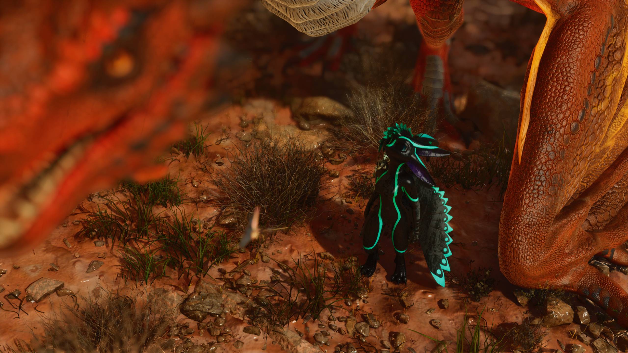 Custom Cosmetic: Avali - Gallery - Ark Survival Ascended Mods - CurseForge