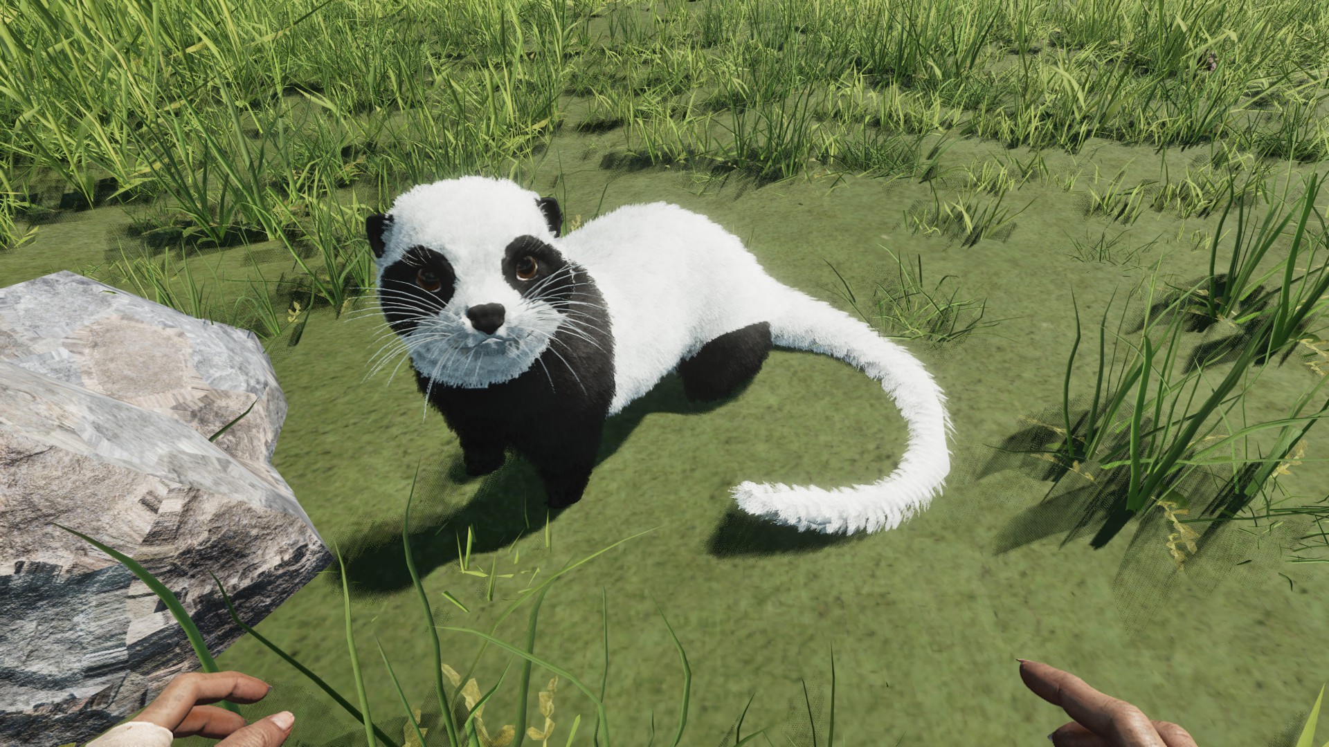 Z-Variants Otter Additions (Crossplay) - Ark Survival Ascended Mods ...