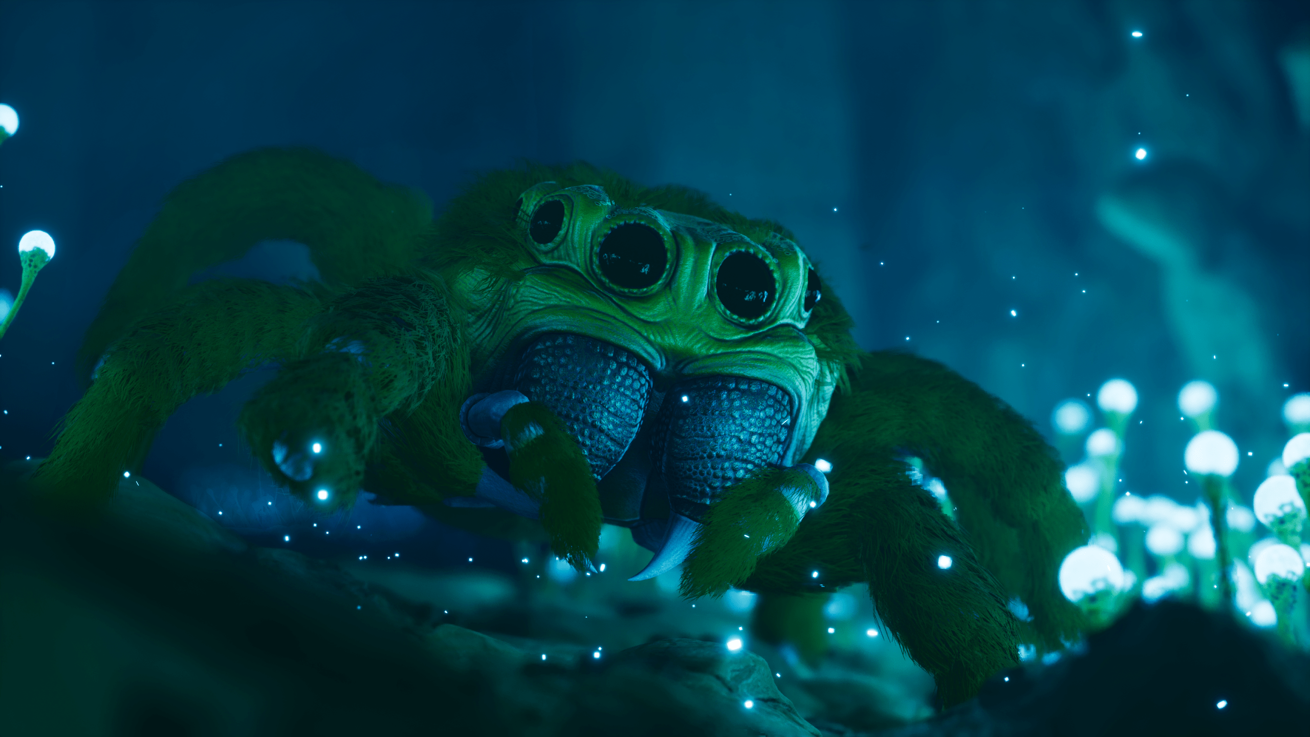 Cyrus' Critters: [Cuter TLC] Jumping Spider - Gallery - Ark Survival ...