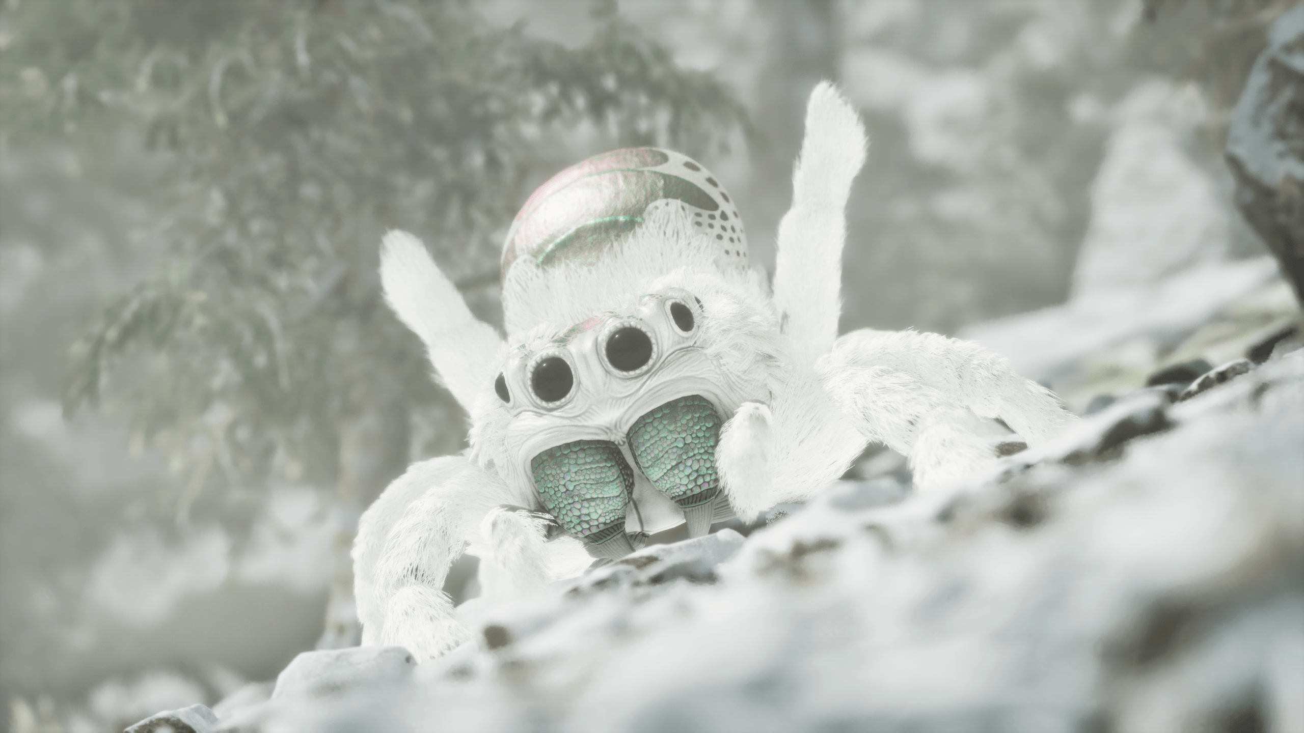 Cyrus' Critters: [Cuter TLC] Jumping Spider - Gallery - Ark Survival ...