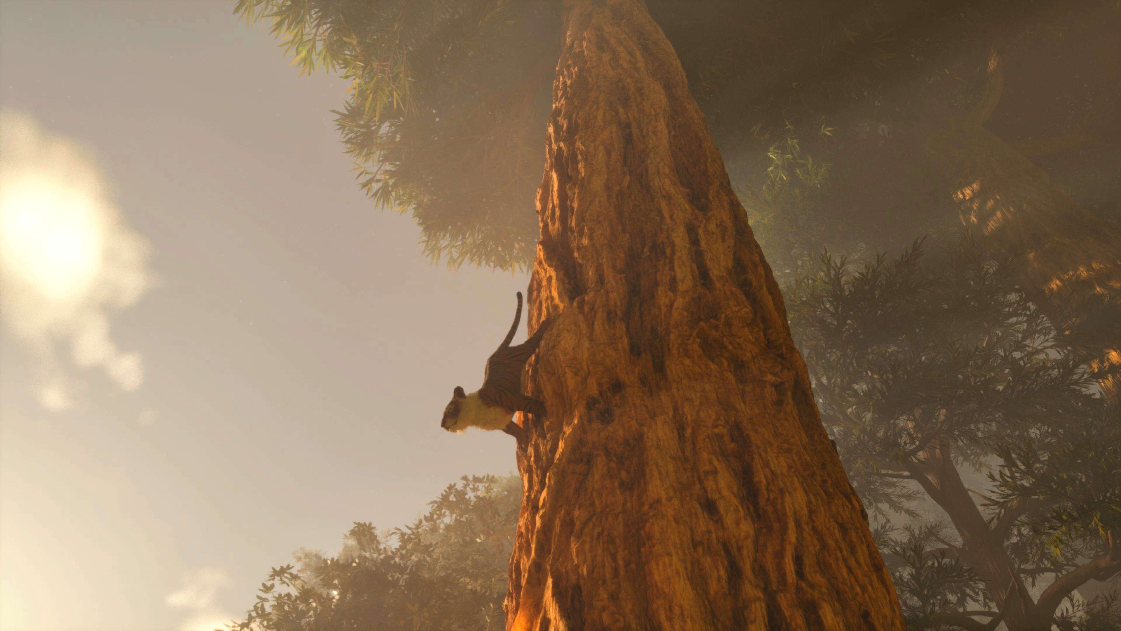 Tiger - Gallery - Ark Survival Ascended Mods - CurseForge