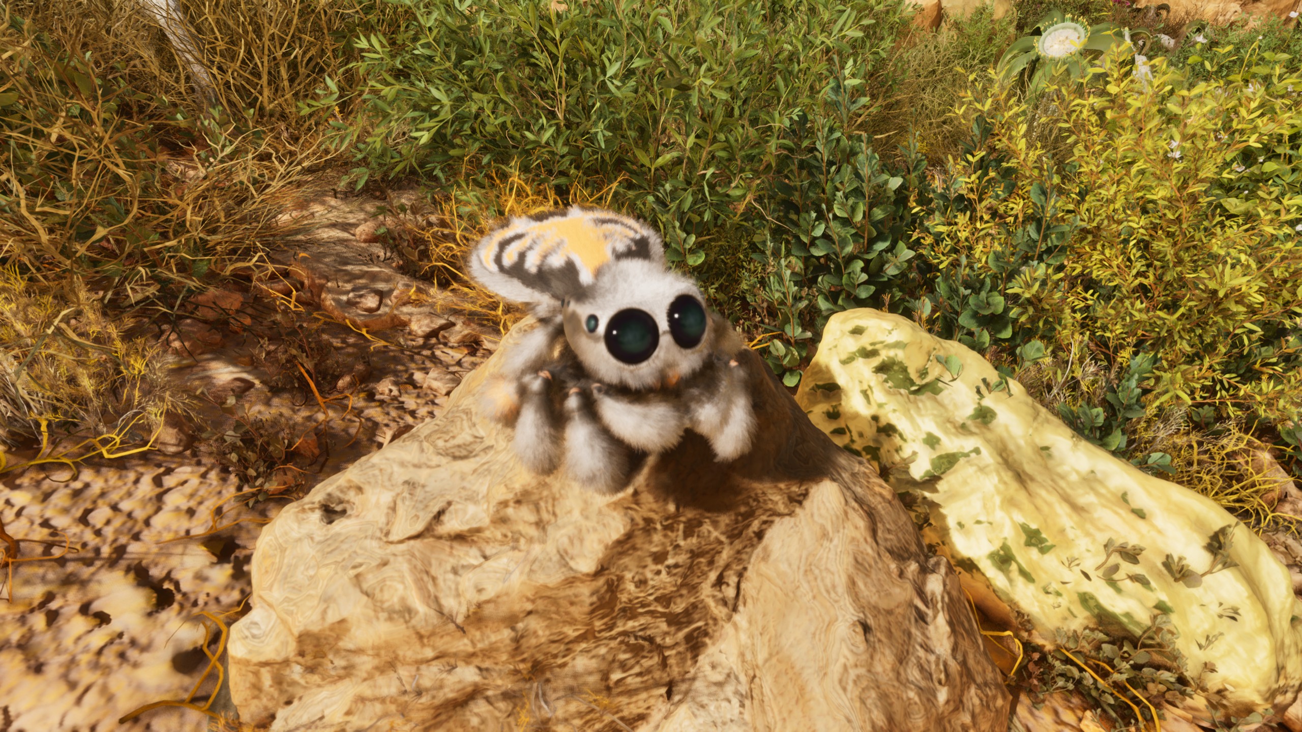 Creature Spawns (Cosmo) - Gallery - Ark Survival Ascended Mods - CurseForge